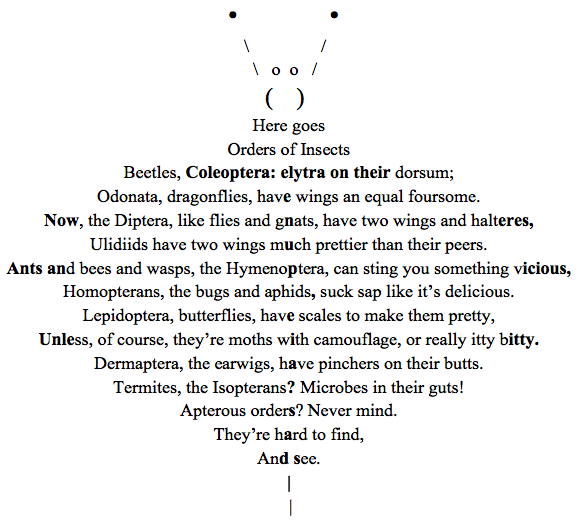 Orders of Insects: A Poem – mountainbreakfast